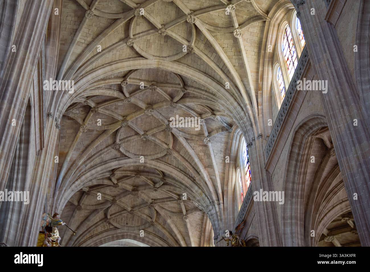 Late Gothic ribbed vaults and interlocking ribs in Gothic Cathedral of ...