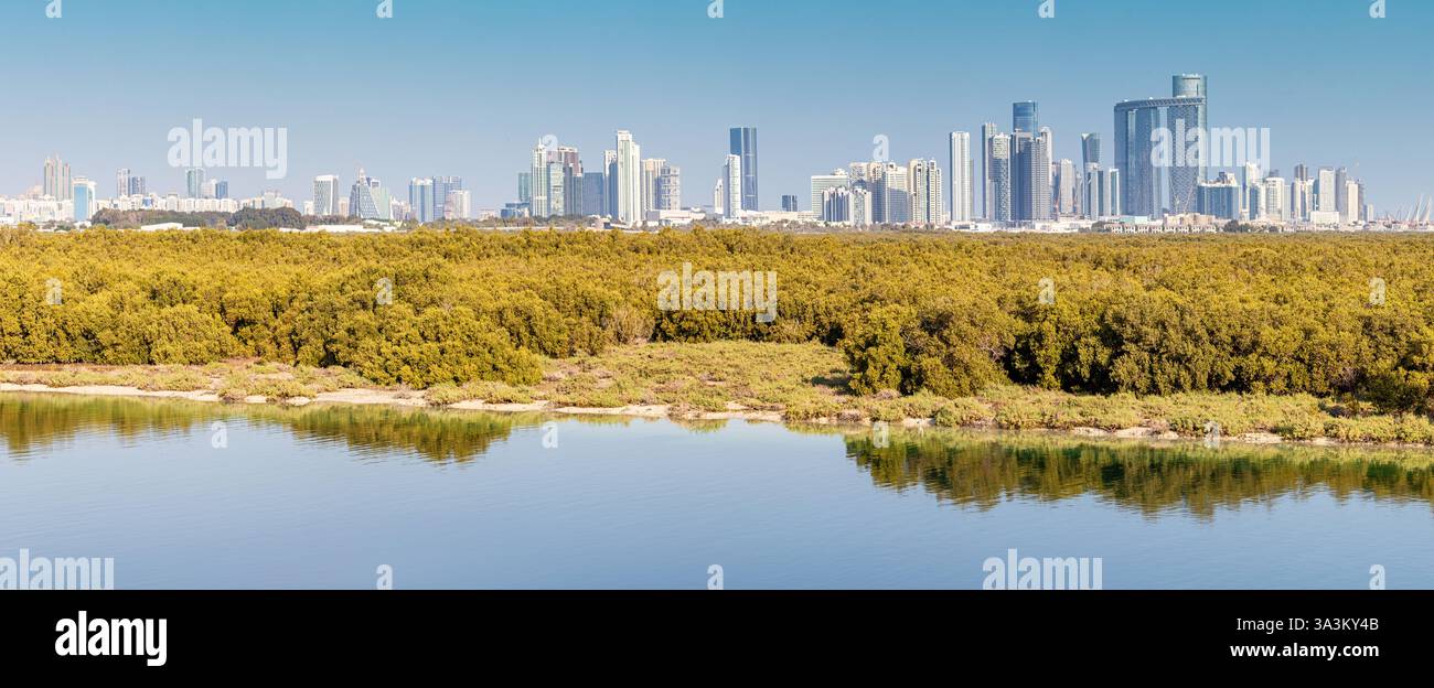 Calm water reflecting Abu Dhabi skyline with modern buildings and lush ...