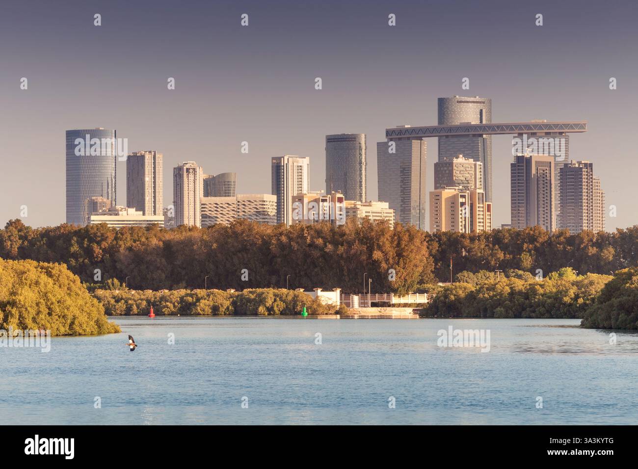 Modern skyscrapers rising over mangrove lagoon park in Abu Dhabi ...