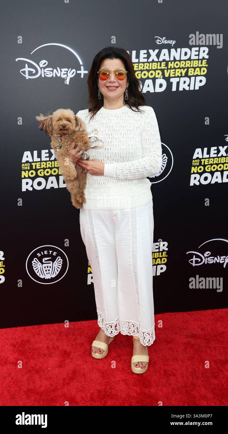MIAMI, FL-MARCH 16: Ana Navarro attends the premier of Disney ...