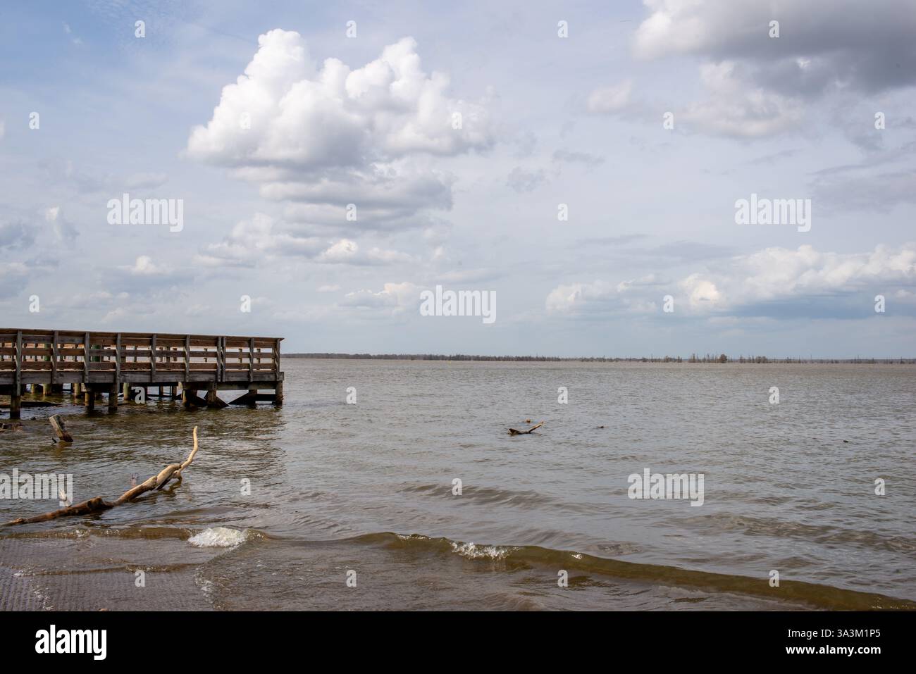 Santee State Park, Santee South Carolina Stock Photo - Alamy