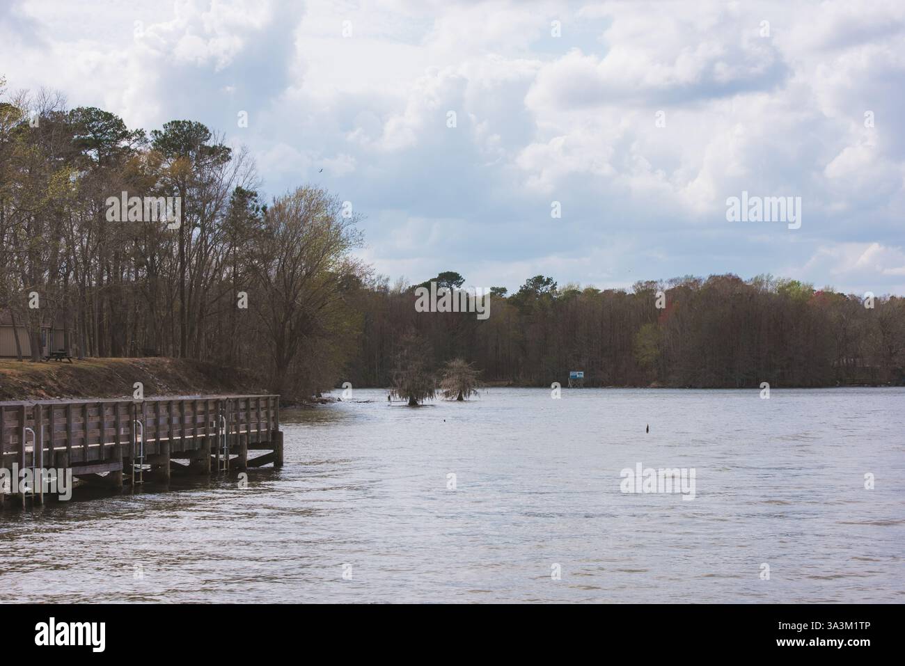 Santee State Park, Santee South Carolina Stock Photo - Alamy