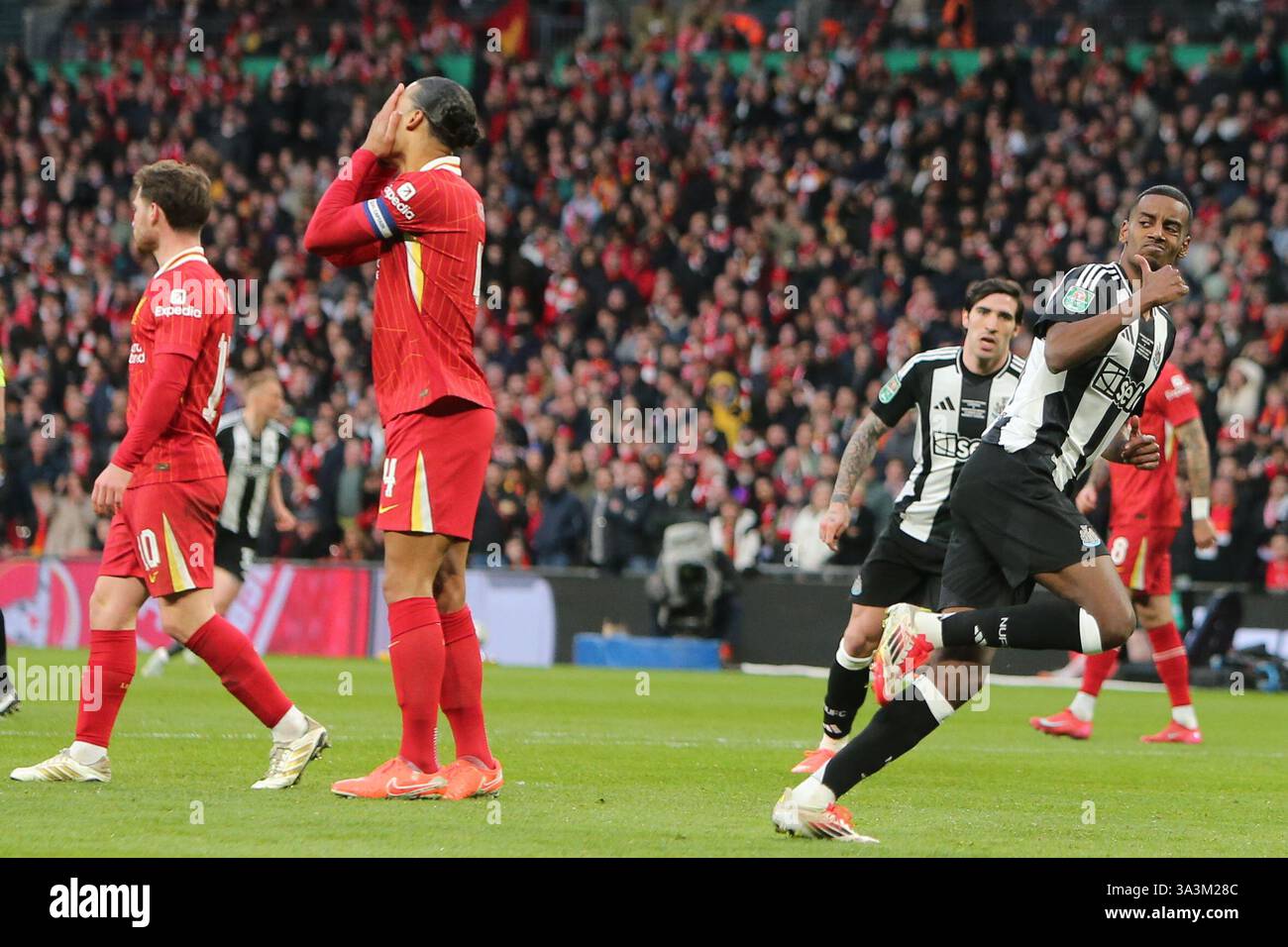 Newcastle United's Alexander Isak celebrates his goal during the ...