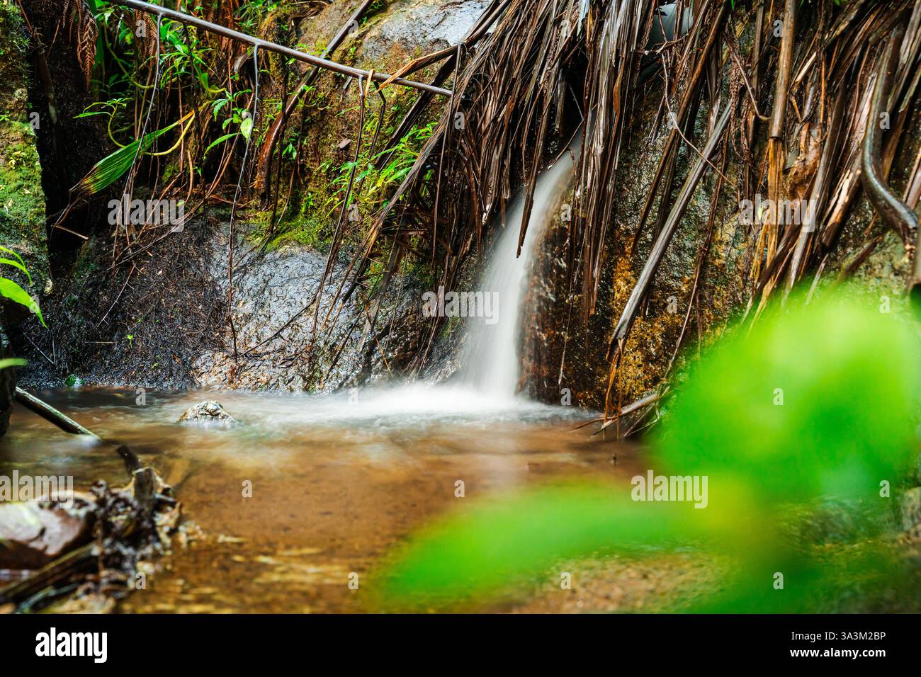 A serene waterfall cascading over rocks into a calm pool, surrounded by ...