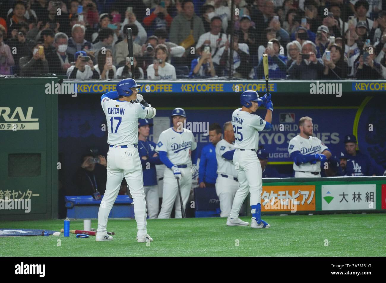 Tokyo, Japan. 15th Mar, 2025. Shohei Ohtani (Dodgers) Baseball : MLB ...