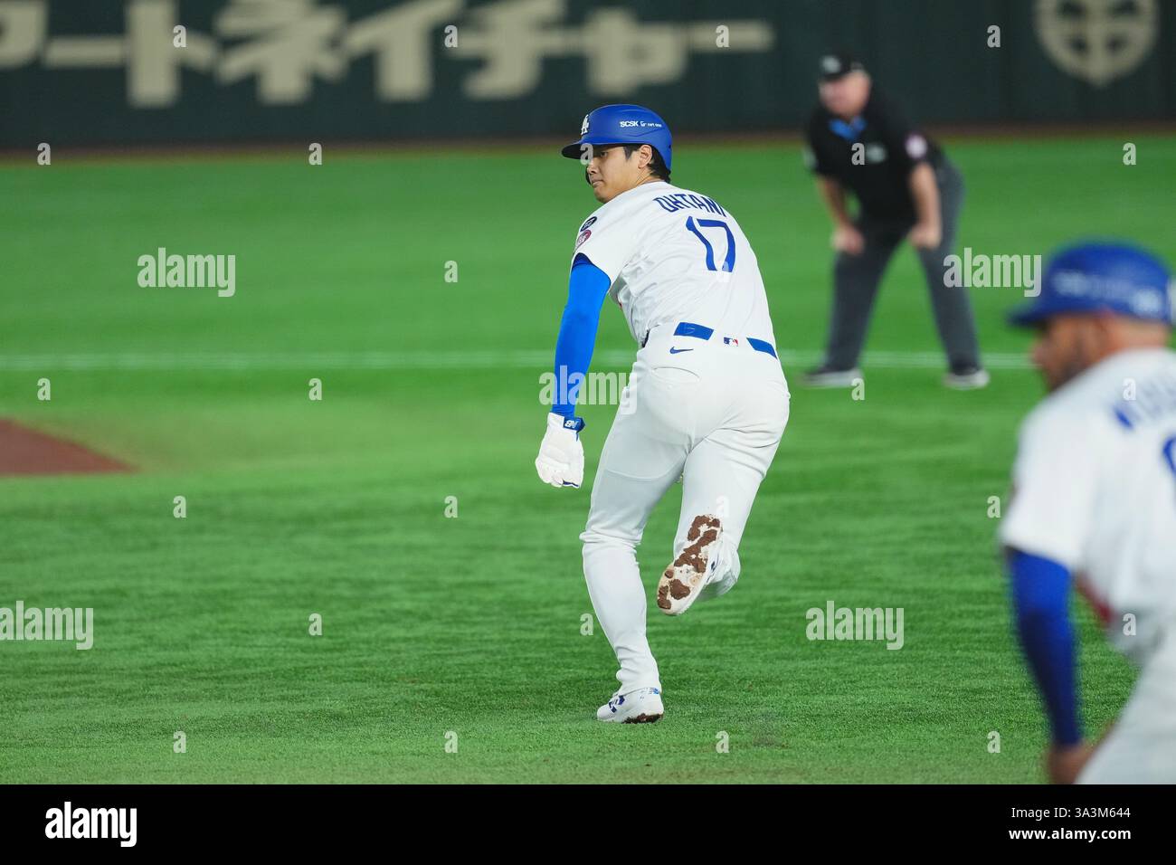 Tokyo, Japan. 15th Mar, 2025. Shohei Ohtani (Dodgers) Baseball : MLB ...