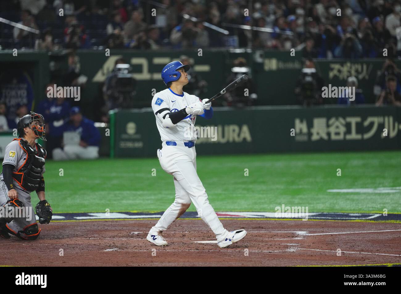 Tokyo, Japan. 15th Mar, 2025. Shohei Ohtani (Dodgers) Baseball : MLB ...