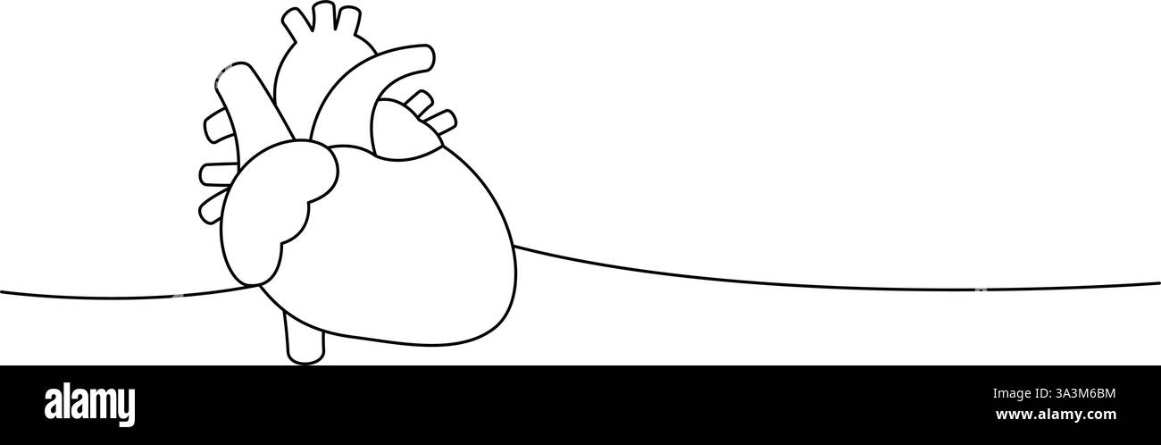 Heart one line continuous drawing. Human internal organ continuous one ...
