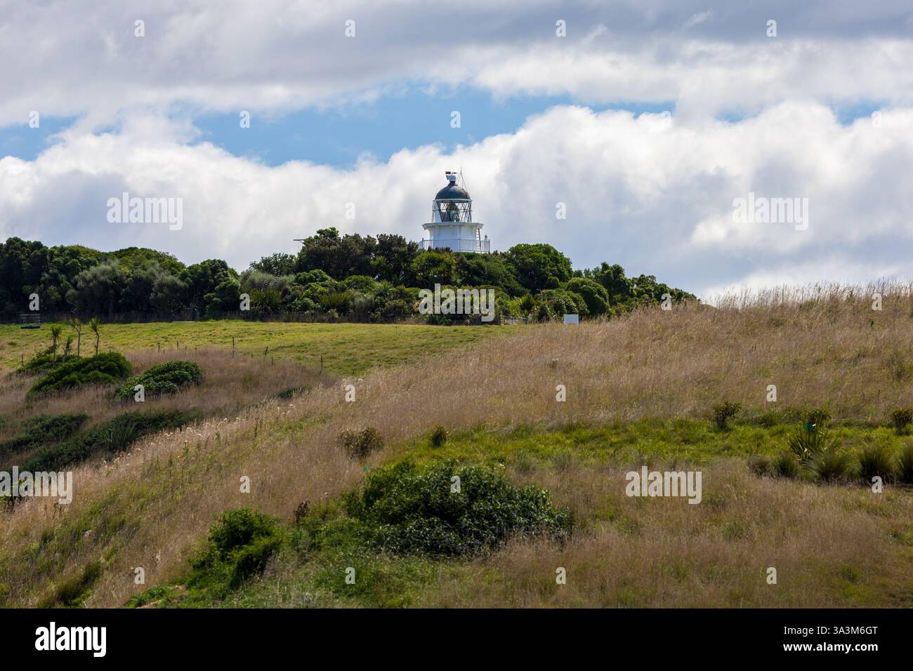 Katiki Point Lighthouse on South Island of New Zealand Stock Photo - Alamy