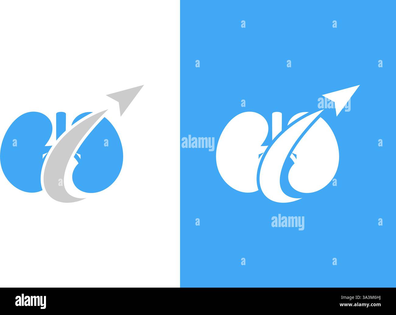Kidneys and rocket logo combination. Urology logotype design template ...