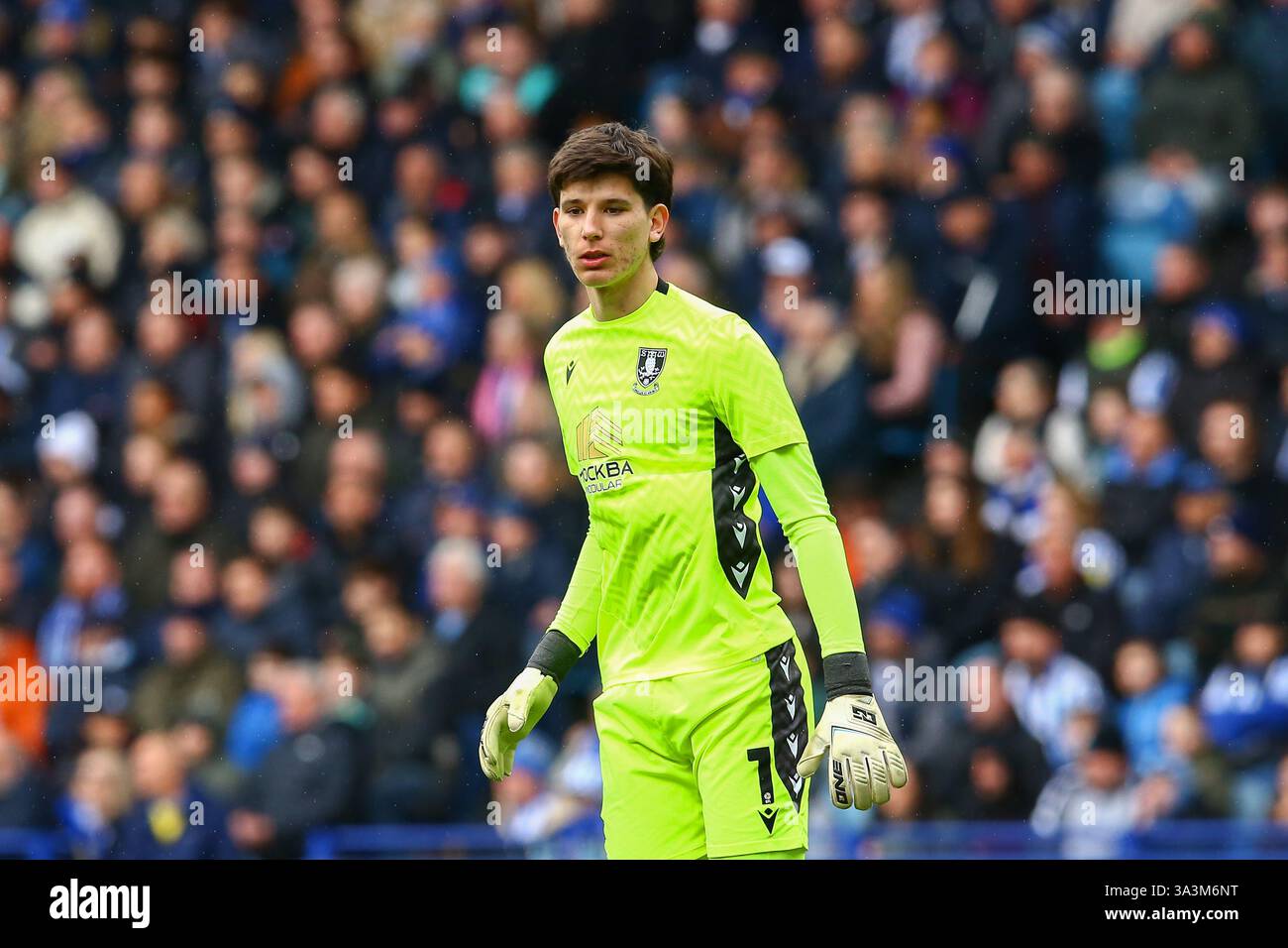 Hillsborough Stadium, Sheffield, England - 16th March 2025 James Beadle ...