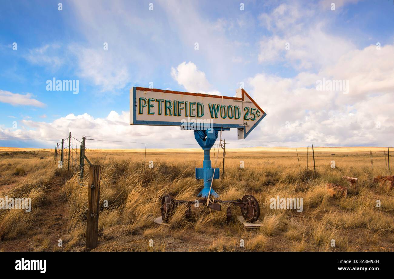 Petrified forest sign hi-res stock photography and images - Alamy