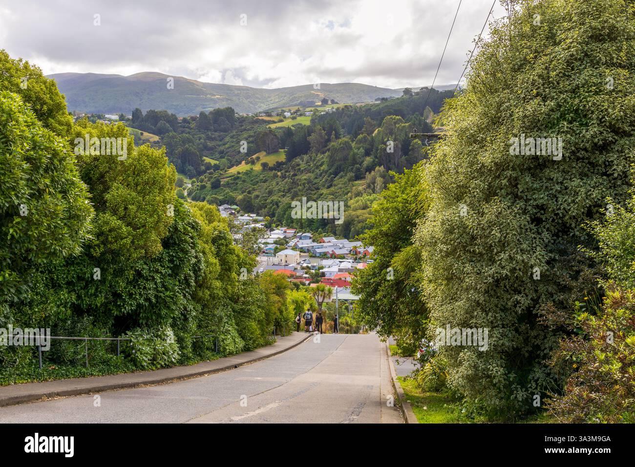 Baldwin street in Dunedin as the worlds steepest street, New Zealand ...