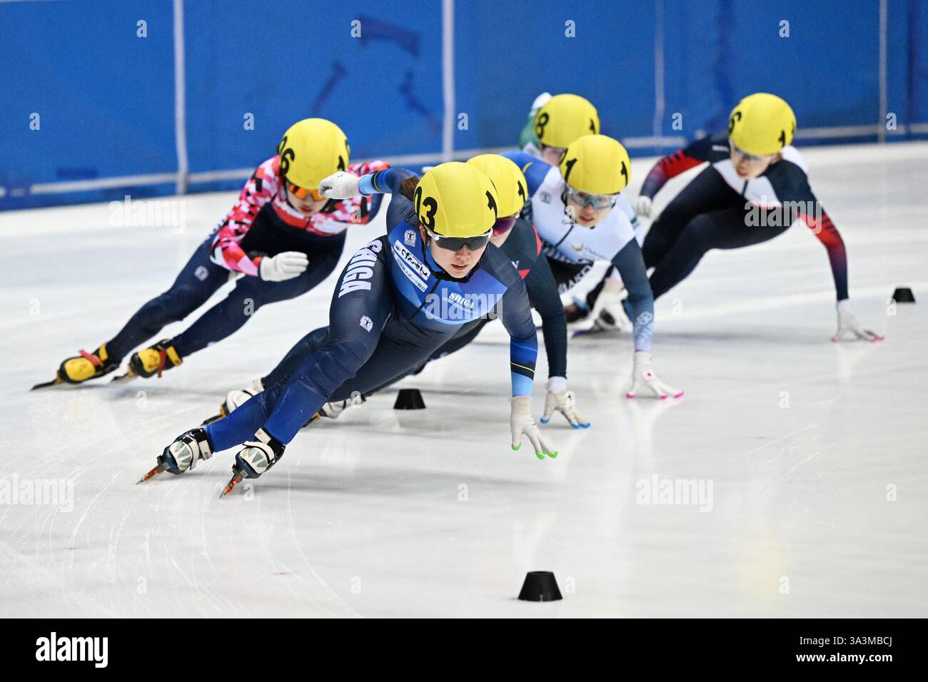 Kyoto, Japan. Credit: MATSUO. 15th Mar, 2025. Rina Yamana Short Track ...