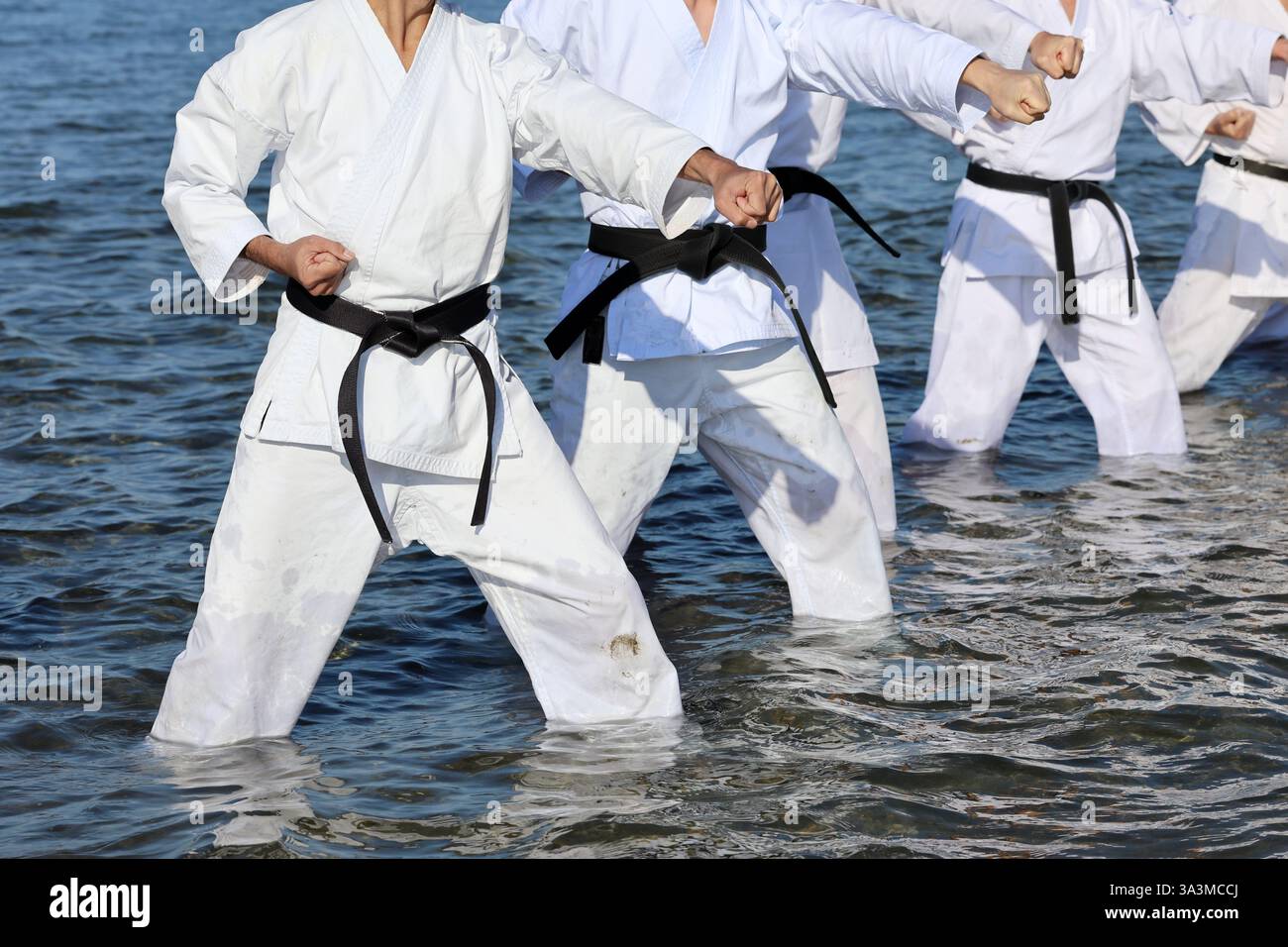 Japanese karate men training of karate fighting in midwinter of a new ...