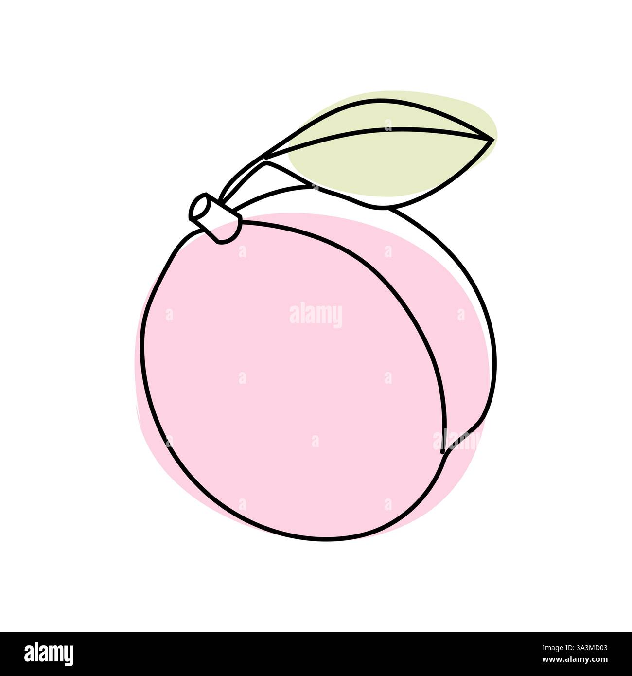 Colorful peach with a leaf on a light background captured in a ...