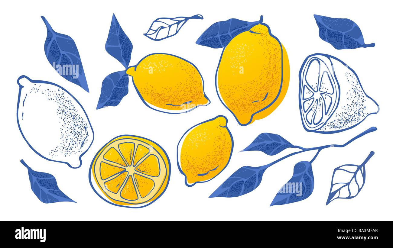 Amalfi lemon collection with textured yellow fruits, citrus halves ...