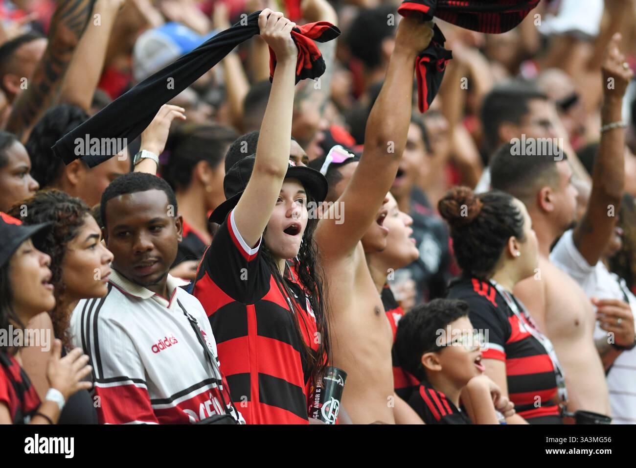 Rio, Brazil - March 16, 2025: Fans during the game between Flamengo x ...