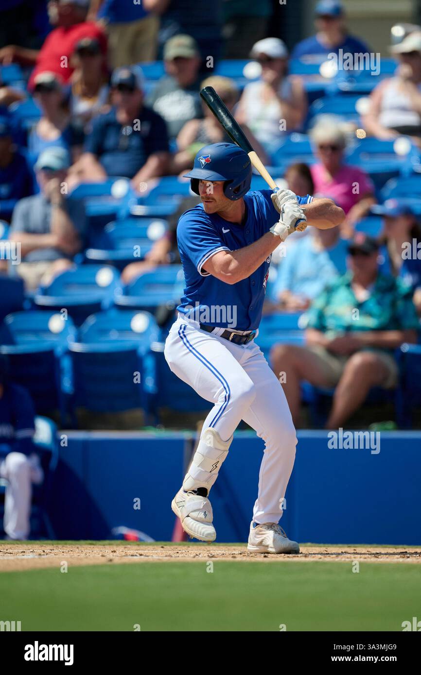 Toronto Blue Jays RJ Schreck (12) at bat during an MLB Spring Breakout ...
