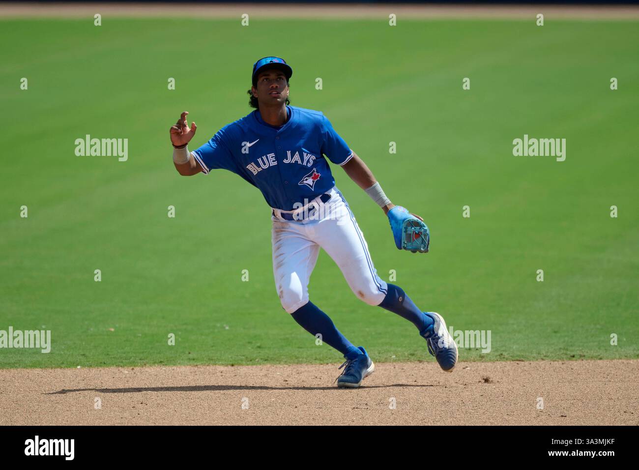 Toronto Blue Jays shortstop Arjun Nimmala (15) during an MLB Spring ...