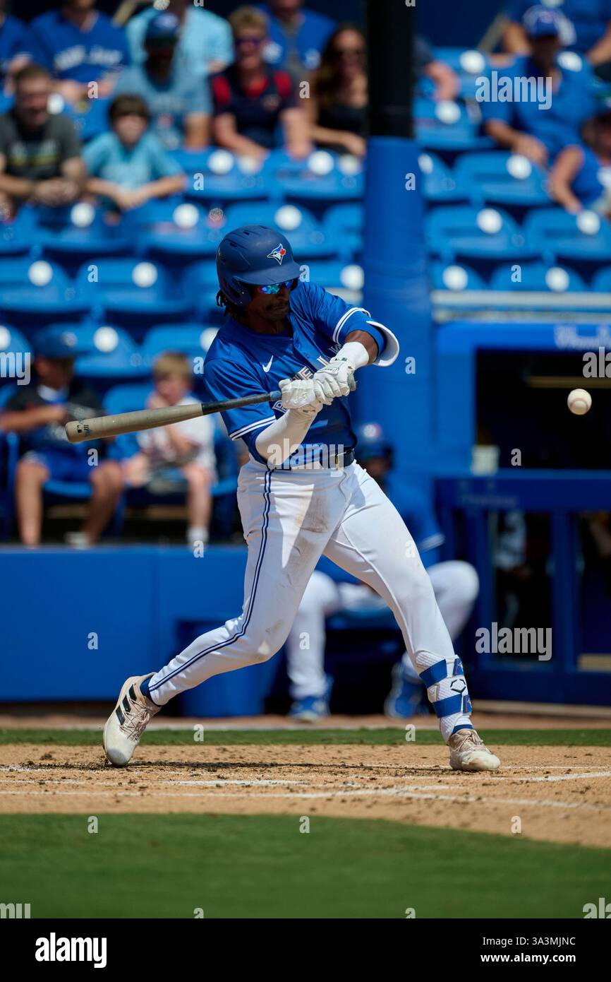 Toronto Blue Jays Charles McAdoo (28) at bat during an MLB Spring ...