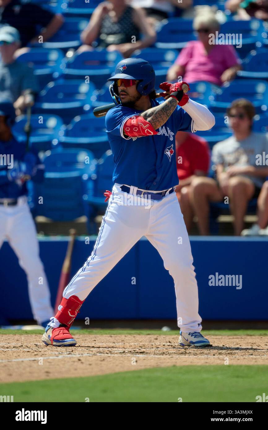 Toronto Blue Jays Yohendrick Pinango (22) at bat during an MLB Spring ...