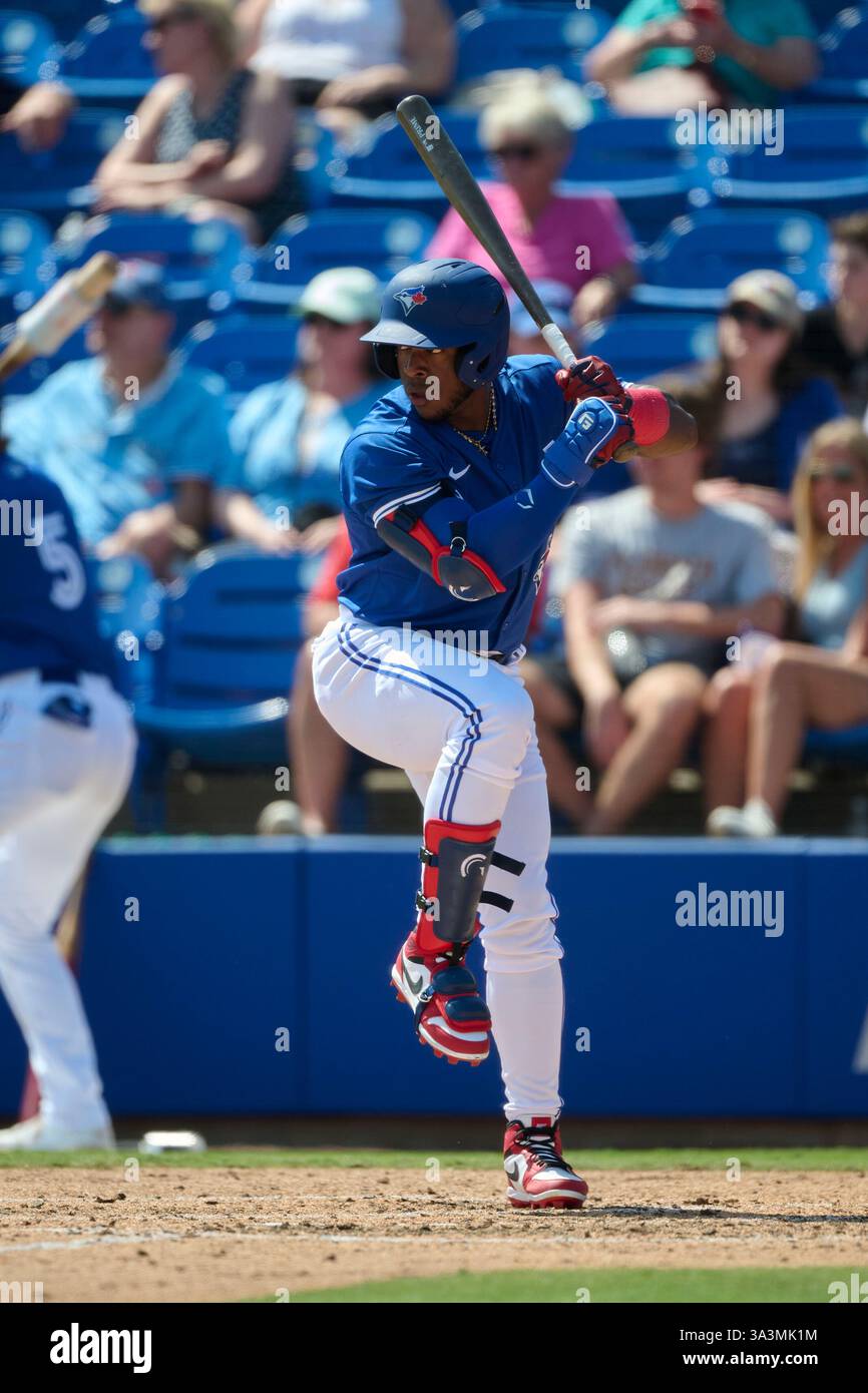 Toronto Blue Jays Victor Arias (41) at bat during an MLB Spring ...