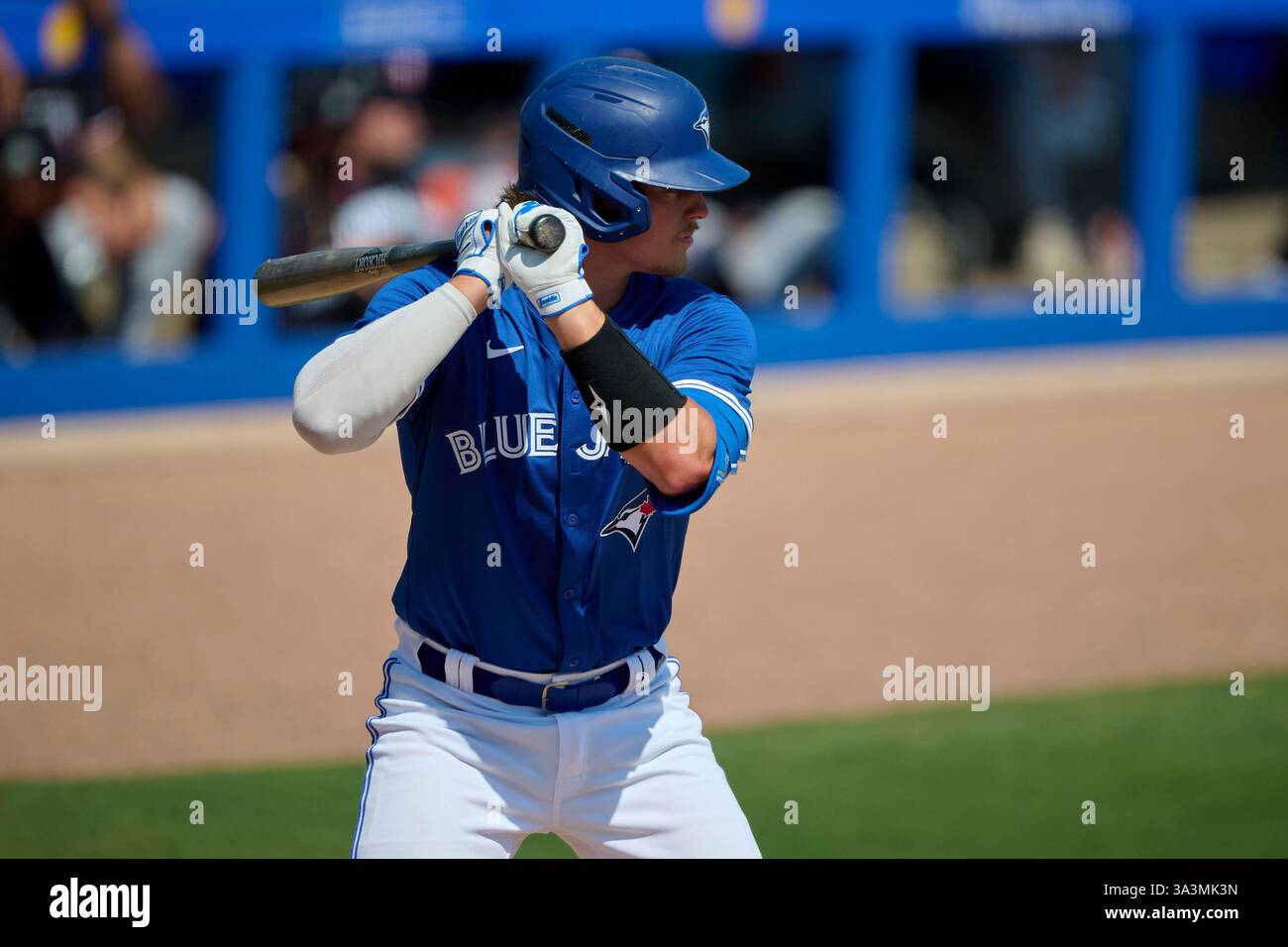 Toronto Blue Jays Brock Tibbitts (9) at bat during an MLB Spring ...
