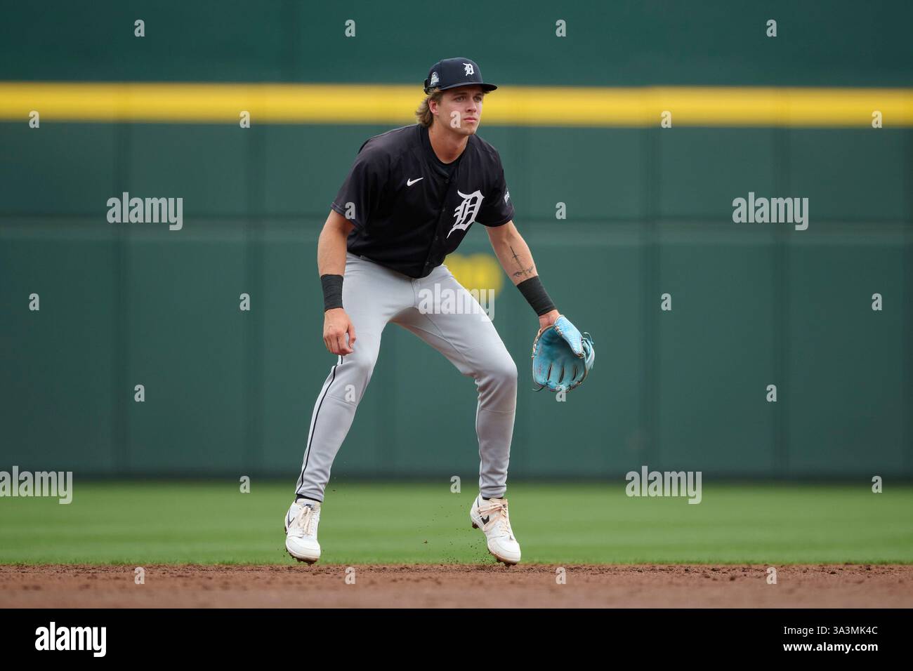 Detroit Tigers shortstop Bryce Rainer (28) during an MLB Spring ...