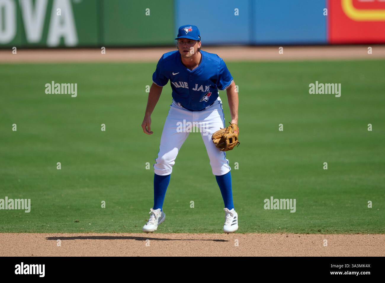 Toronto Blue Jays shortstop Jay Harry (30) during an MLB Spring ...