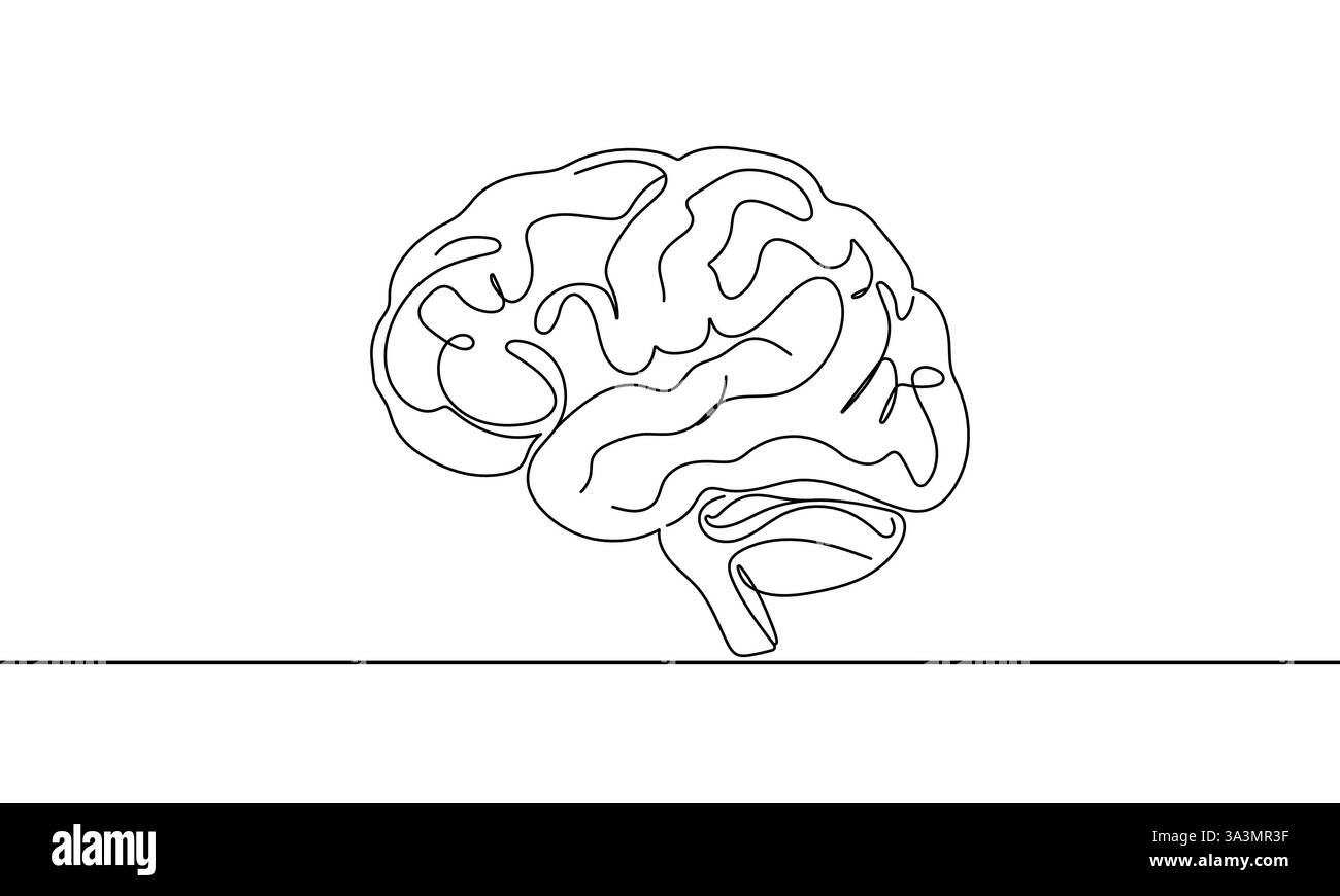 Brain line drawing Hand drawing Editable stroke Stock Vector Image ...