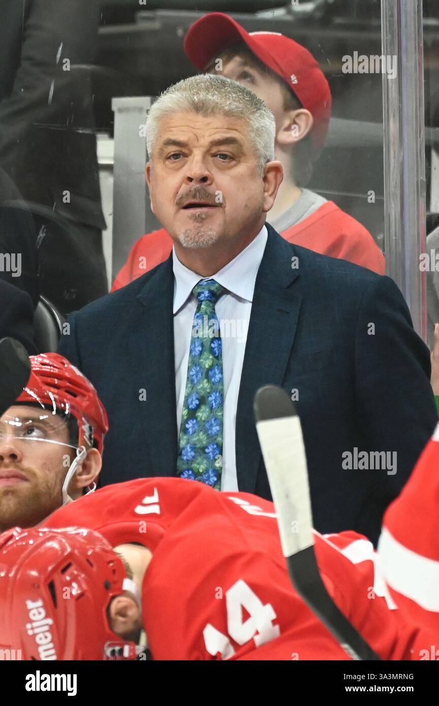 Detroit Red Wings head coach Todd McLellan, standing center, watches ...