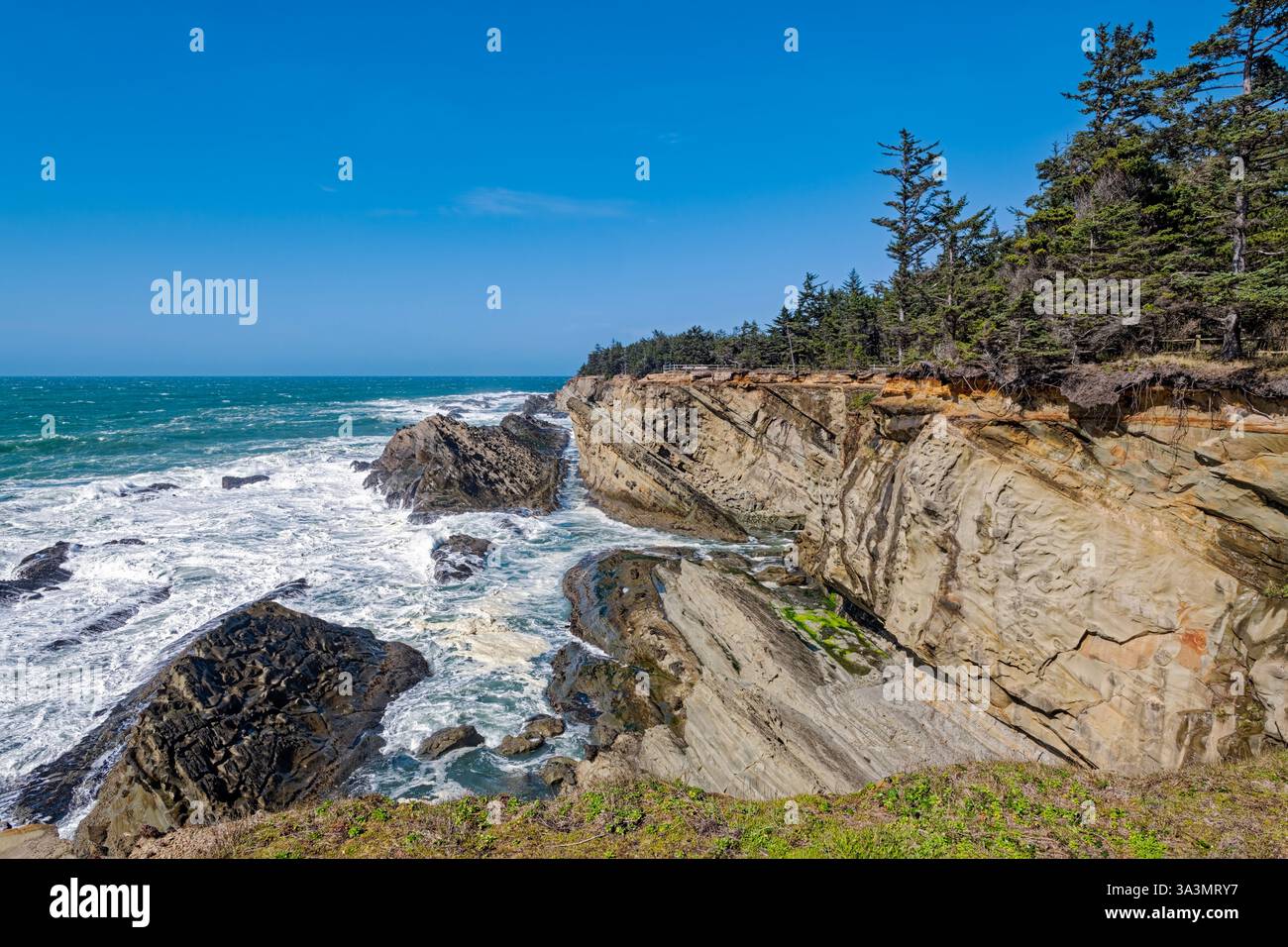 The sandstone cliffs along the Pacific coastline at Shore Acres State ...