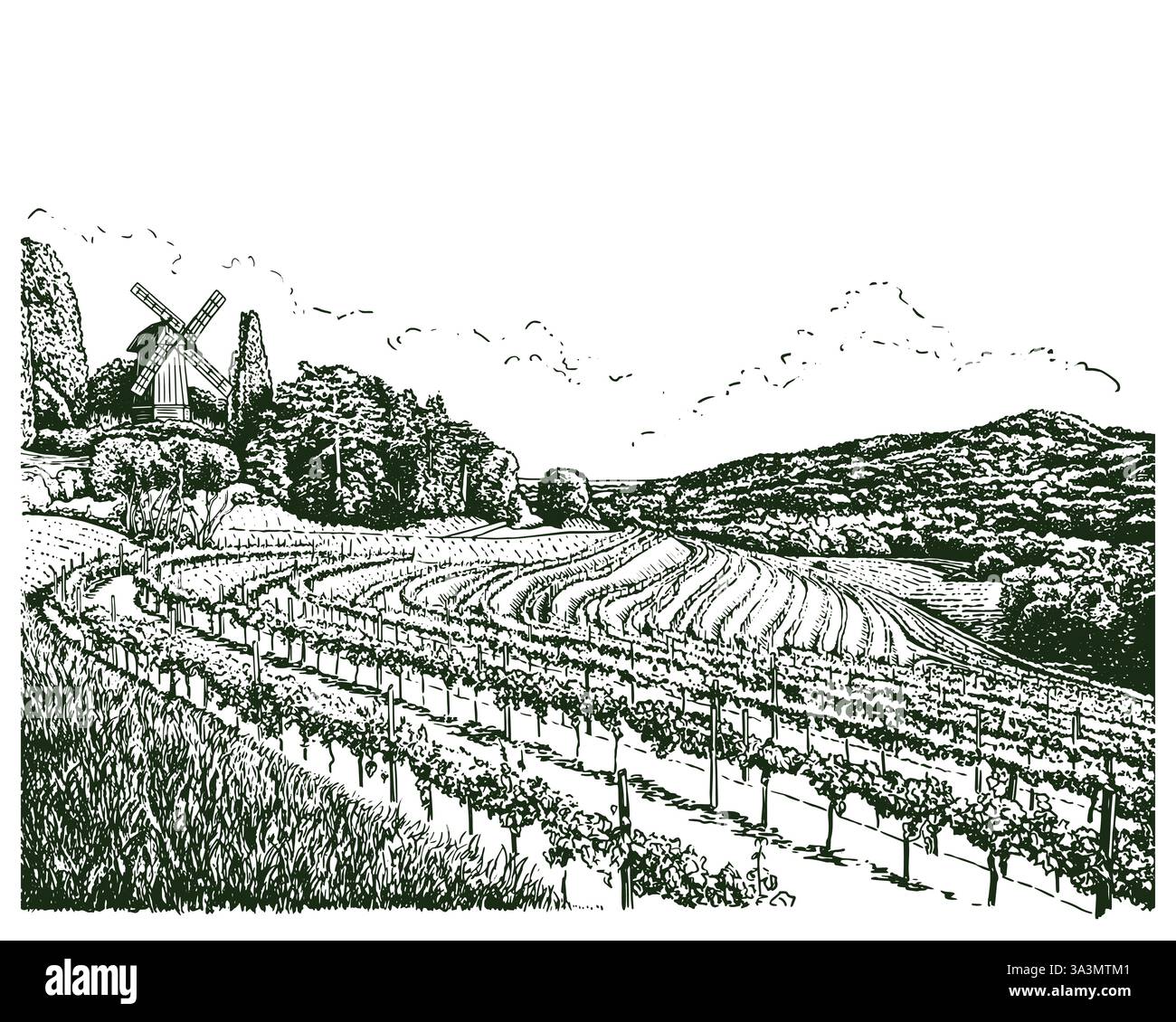 Vintage sketch illustration of vine farm Stock Vector Image & Art - Alamy