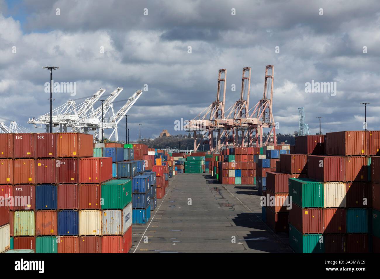 Seattle, Washington, USA. 16th March 2025. Shipping containers are ...