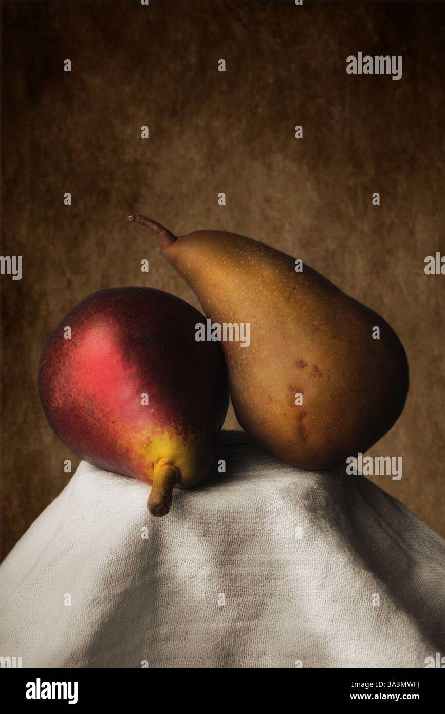 Still life of Bosc and Red pears on a pedestal covered with a white ...