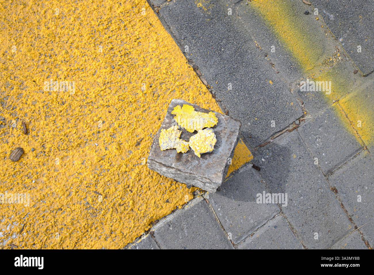 Washington DC, USA. 16th Mar, 2025. A brick and parts of a bold-yellow ...