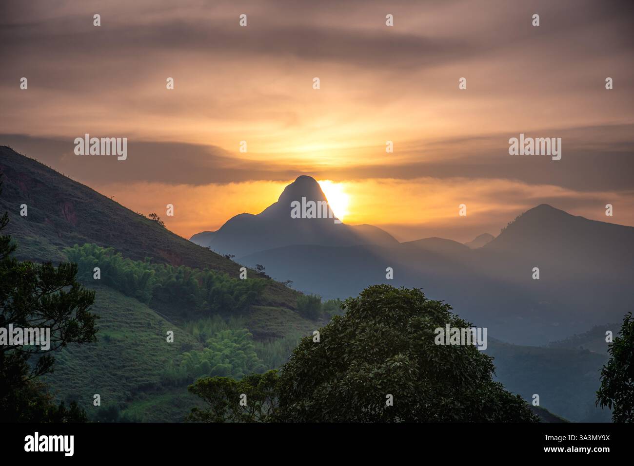 Golden glow over green hi-res stock photography and images - Alamy