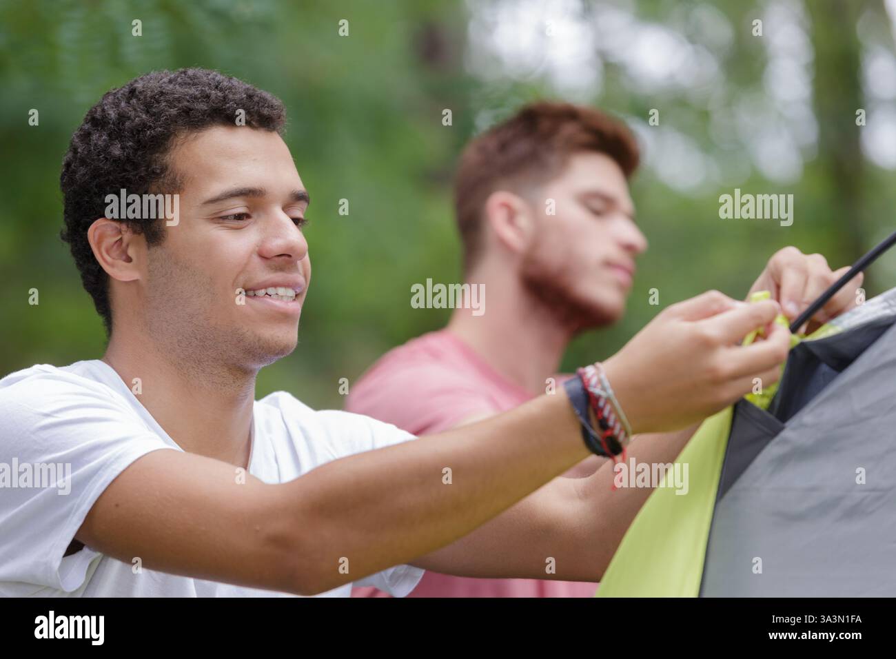 two handsome men making camping in the woods Stock Photo - Alamy