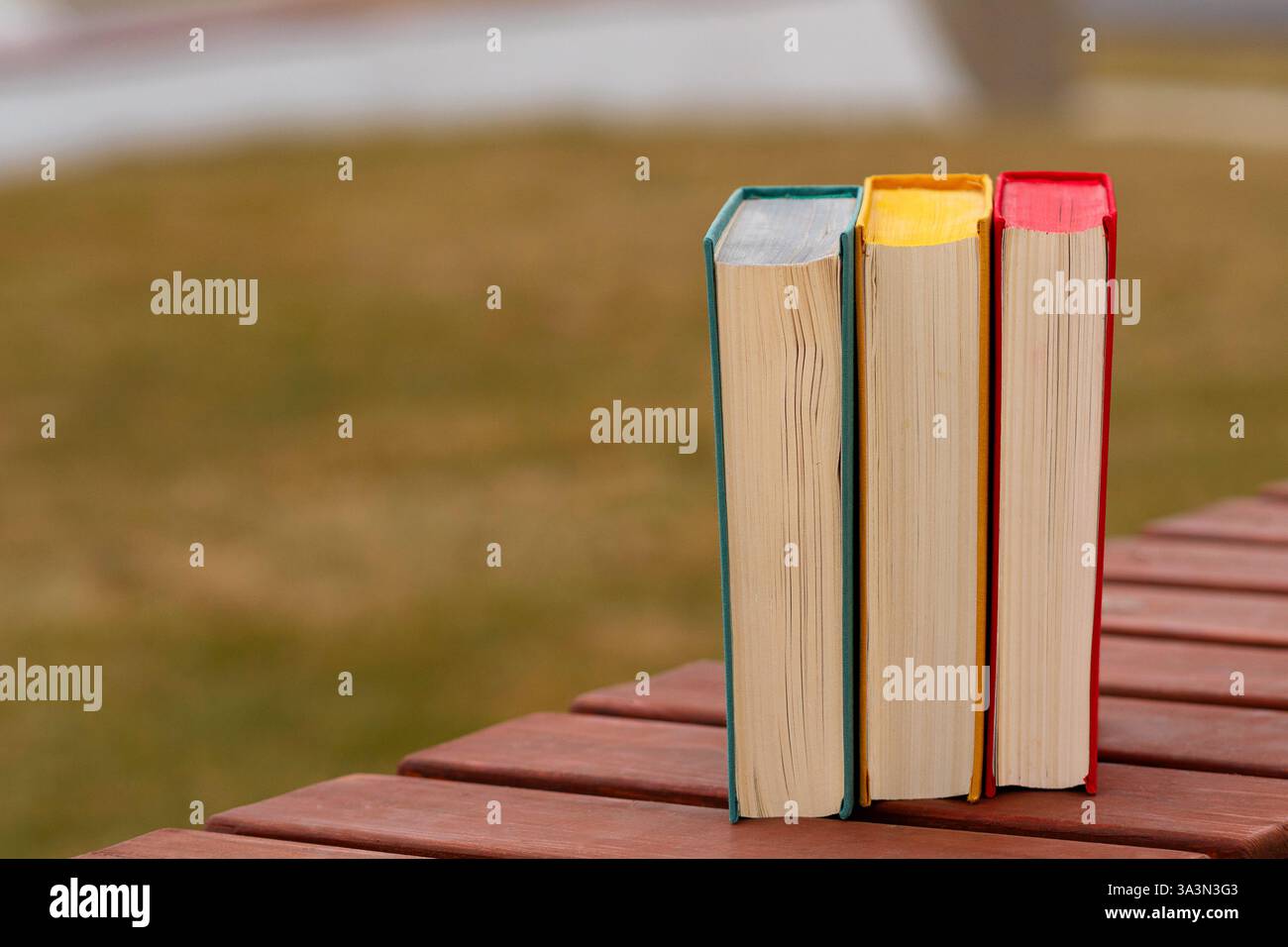 Three hardcover books standing vertically on wooden outdoor bench Stock ...