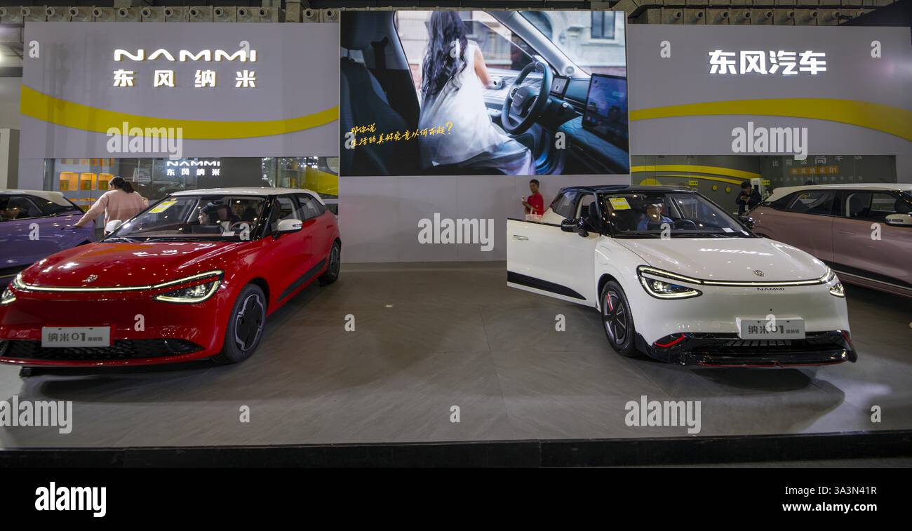 The 2025 Hainan International Automobile Exhibition & Haikou ...