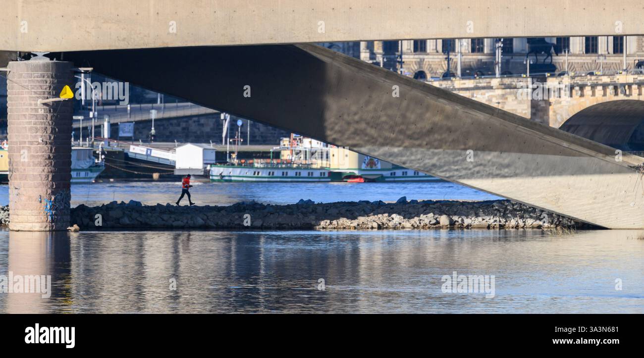 Dresden, Germany. 17th Mar, 2025. View of the surviving and partially ...