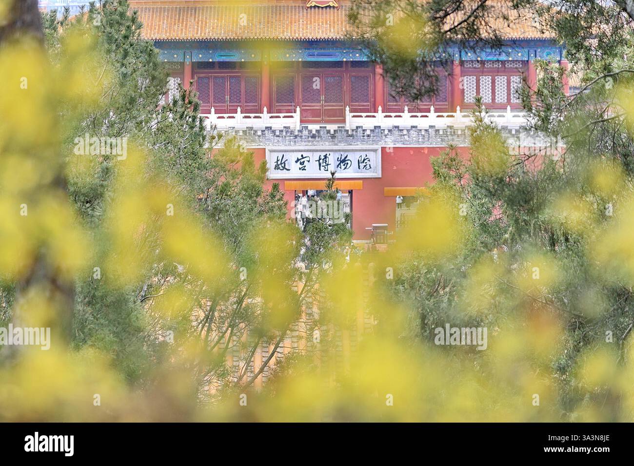 Spring scenery of the Forbidden City in Beijing, China, 14 March, 2025 ...