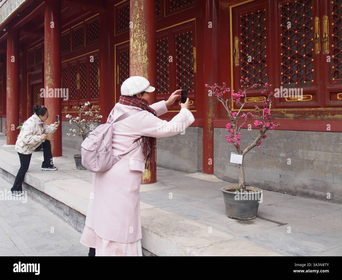 Spring flowers bloom at the Palace Museum in Beijing, China, 14 March ...