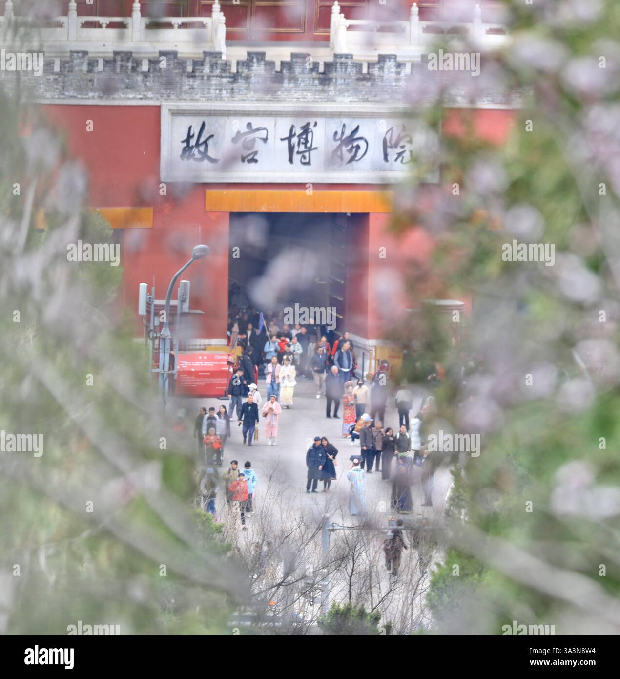 Spring scenery of the Forbidden City in Beijing, China, 14 March, 2025 ...