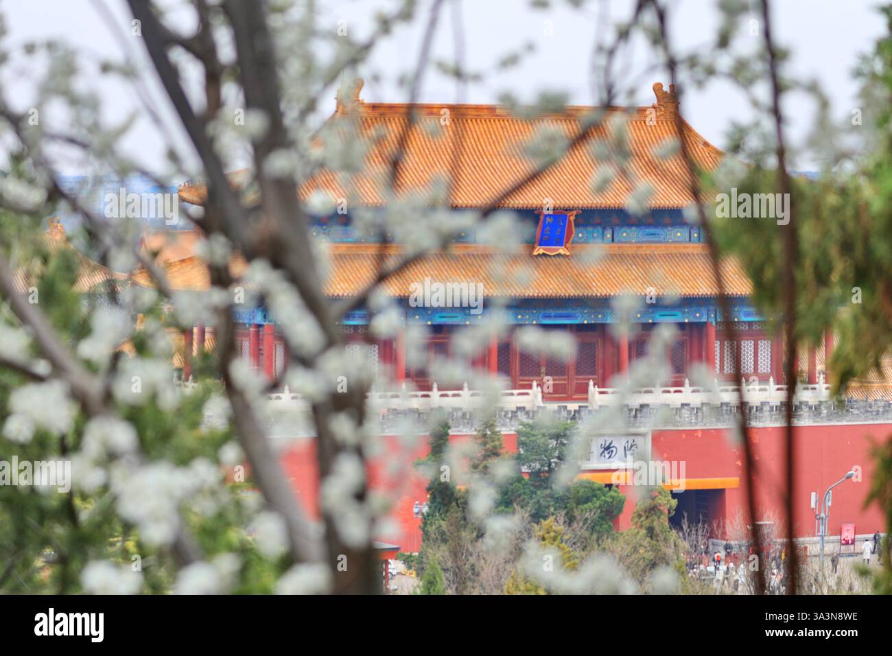 Spring scenery of the Forbidden City in Beijing, China, 14 March, 2025 ...