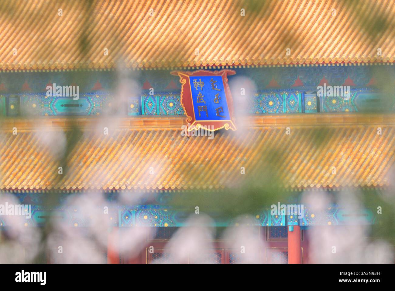 Spring scenery of the Forbidden City in Beijing, China, 14 March, 2025 ...