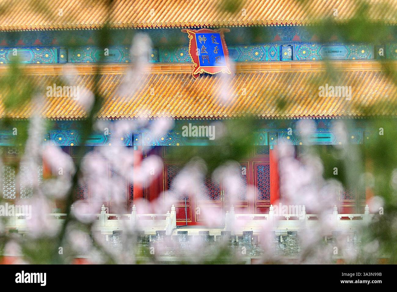 Spring scenery of the Forbidden City in Beijing, China, 14 March, 2025 ...