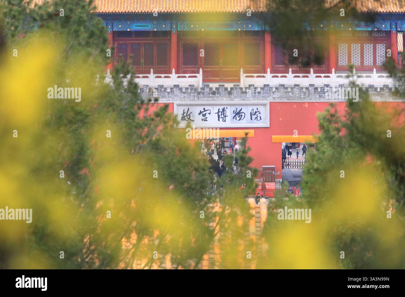 Spring scenery of the Forbidden City in Beijing, China, 14 March, 2025 ...