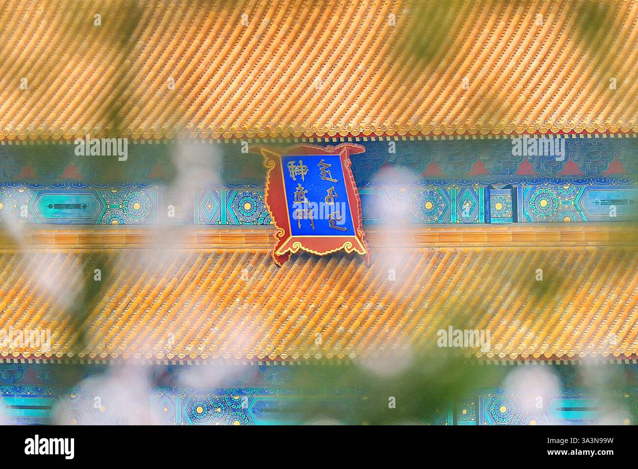 Spring scenery of the Forbidden City in Beijing, China, 14 March, 2025 ...